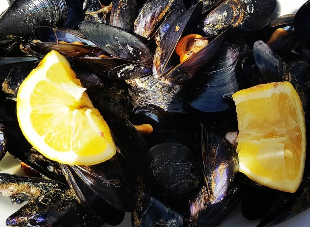 Mytilus Fest, Bacoli celebra la cozza il 25 e 26 maggio - Napoli Turistica