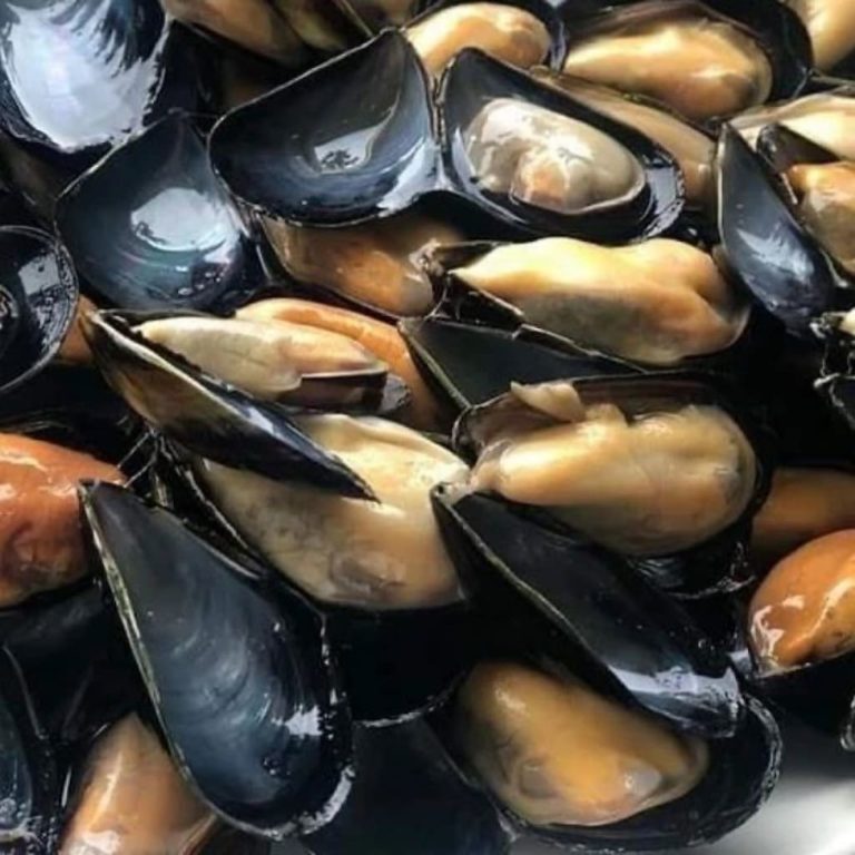 Mytilus Fest, Bacoli celebra la cozza il 25 e 26 maggio - Napoli Turistica