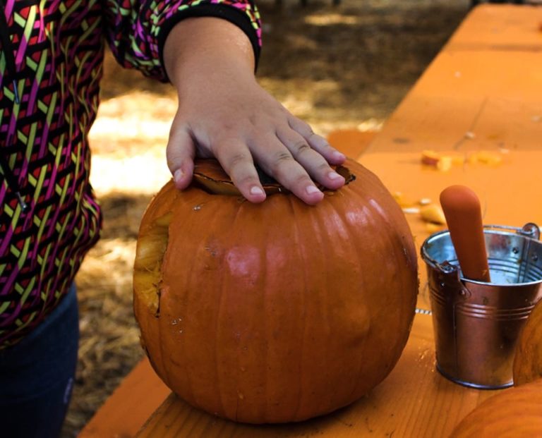 Giochi di Zucca: la IV edizione arriva alla Mostra d'Oltremare